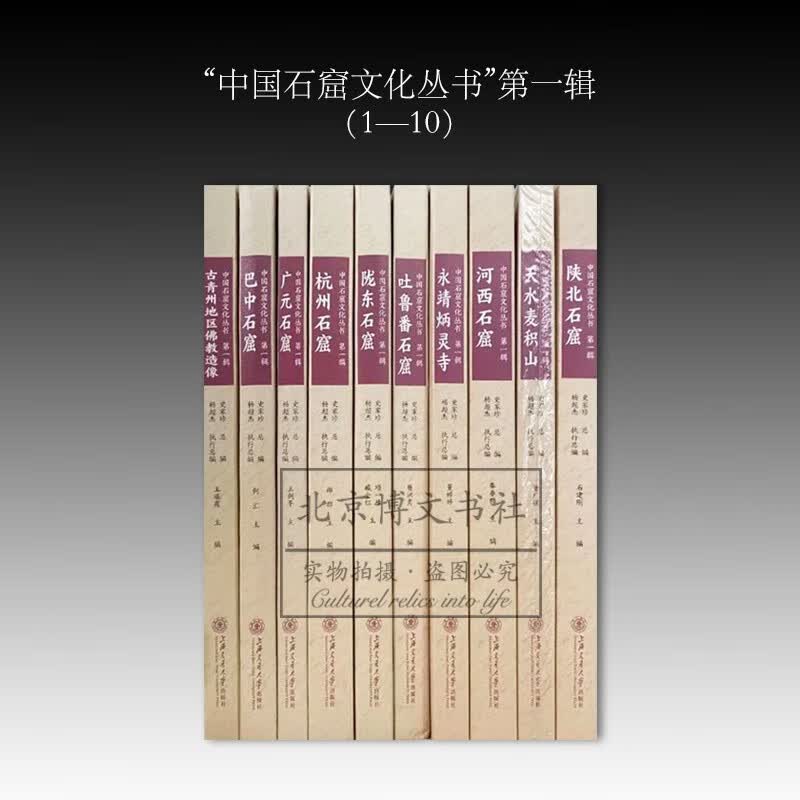 中国石窟文化丛书：第一辑（全10册）【平】