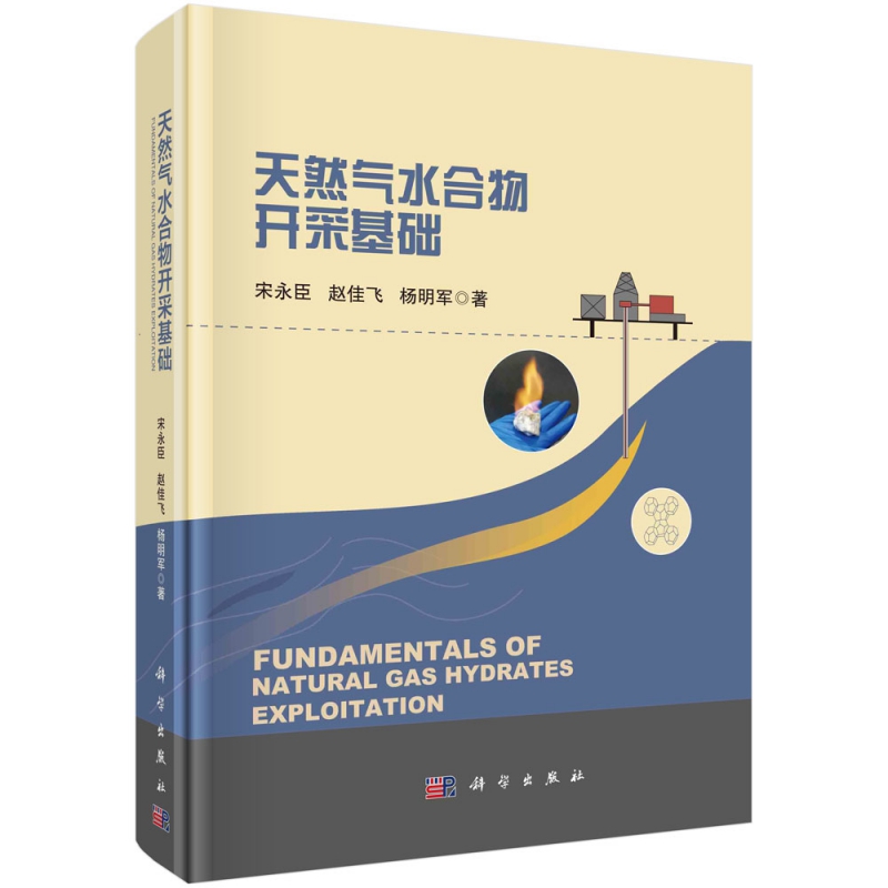 天然气水合物开采基础(精)