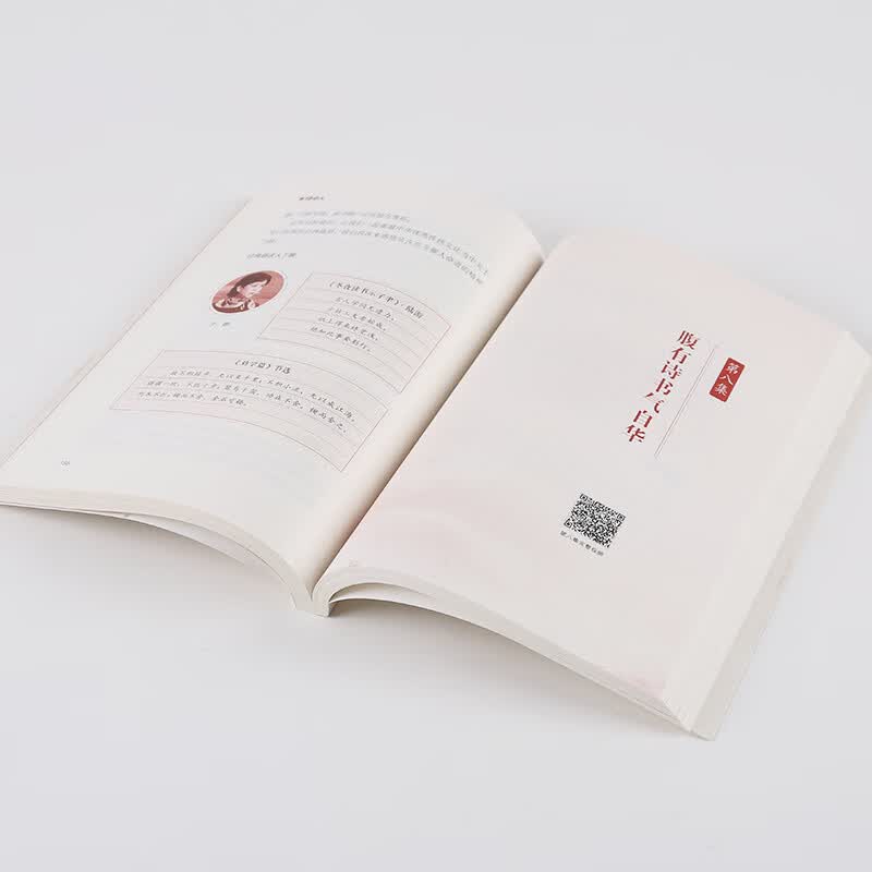 平“语”近人——习近平总书记用典(视频书)
