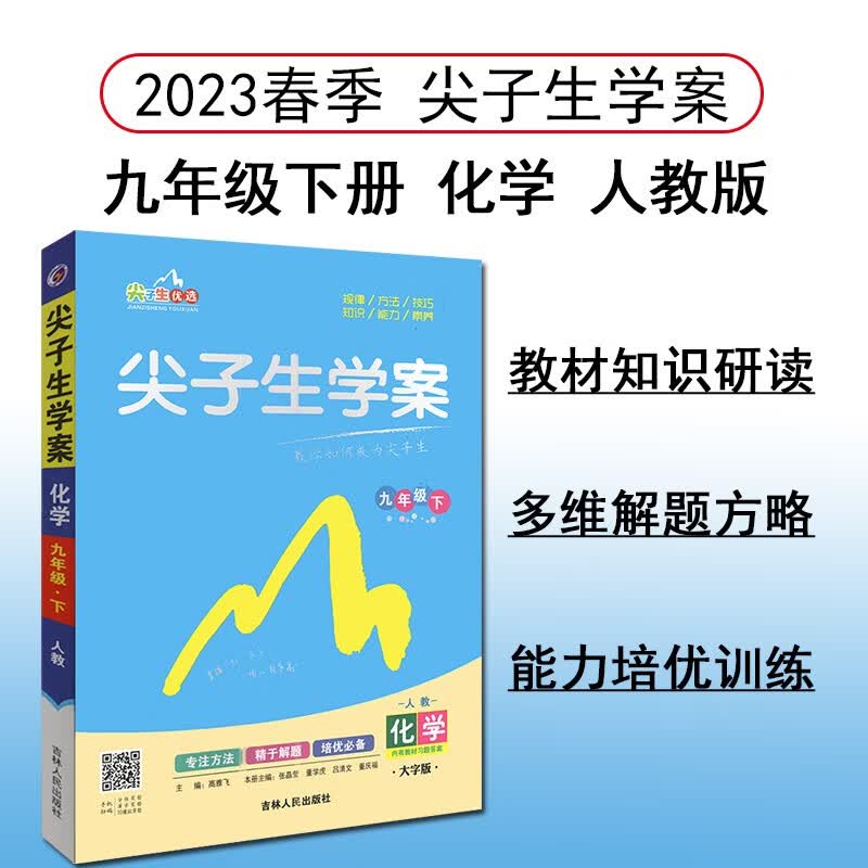 尖子生学案 九年级化学 人教版（下）2023春·大字版