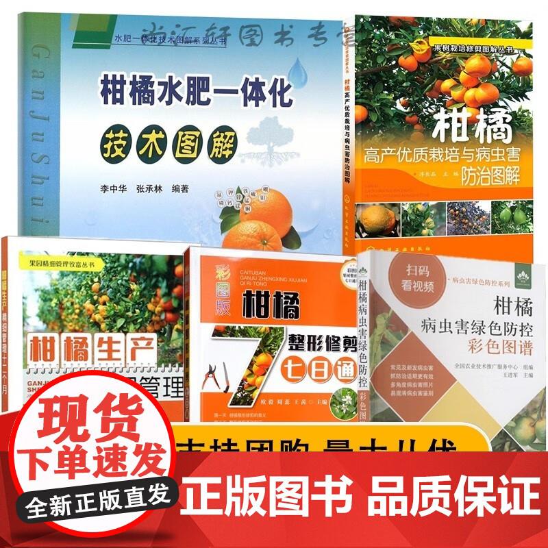 开心学德语(青少版)(1)(强化训练)