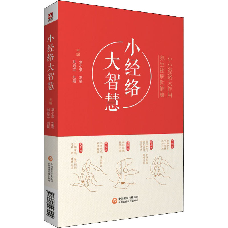 小经络大智慧 图书