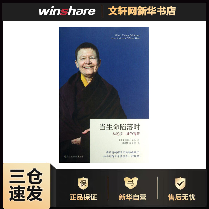 当生命陷落时 与逆境共处的智慧