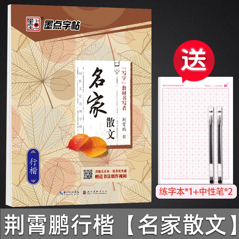 字帖行楷荆霄鹏钢笔练字成年笔画笔顺练习字体漂亮女生硬笔书法初中高中初学者入门套装7天速成大学生男霸气21天墨点临摹练字帖 行楷-【名家散文】送练字本+中性笔