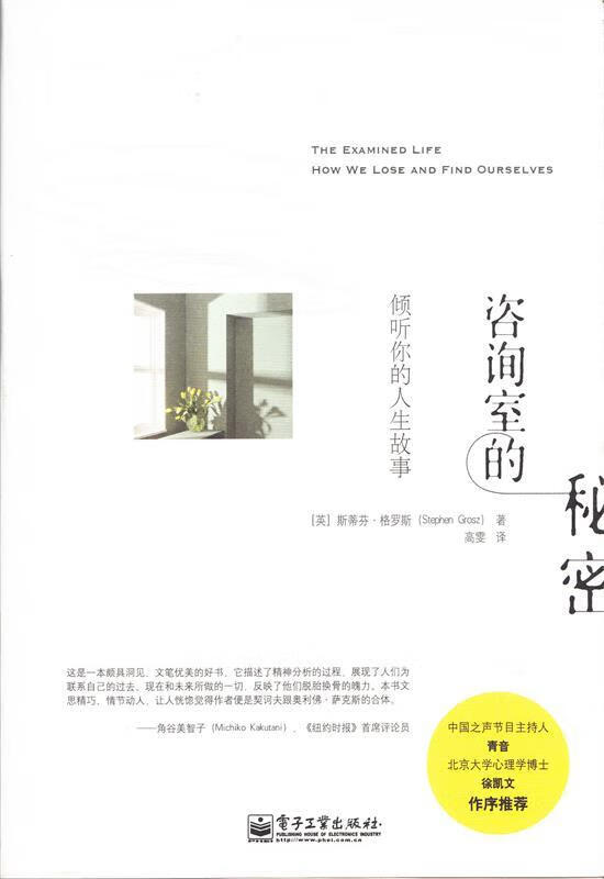 咨询室的秘密:倾听你的人生故事 Stephen Grosz(斯蒂芬 格罗斯) 著,高雯 译 电子工业