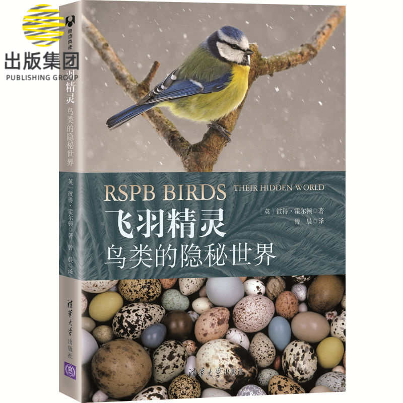 飞羽精灵(鸟类的隐秘世界)