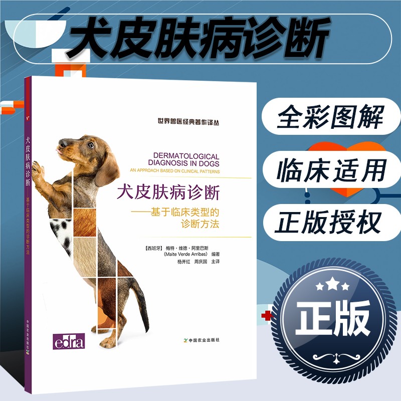 犬皮肤病诊断 基于临床类型的诊断方法 宠物犬皮肤病诊治兽医书籍大全狗皮肤病治疗书 兽医临床诊治书籍