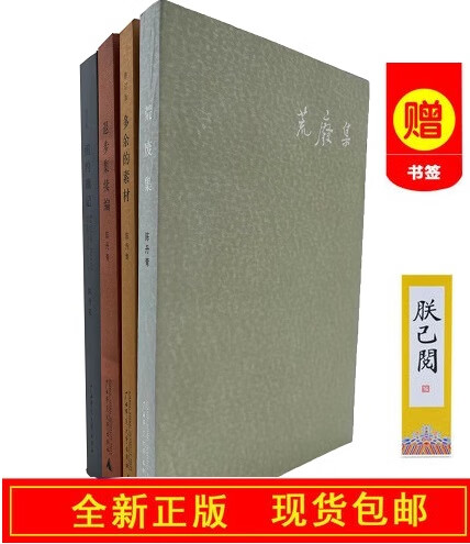 【书籍 】陈丹青套装4册 荒废集 多余的素材修订版 纽约琐记修订版 退步集续编 平装收藏 广西师范大学