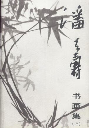 潘天寿书画集 王靖宪李蒂