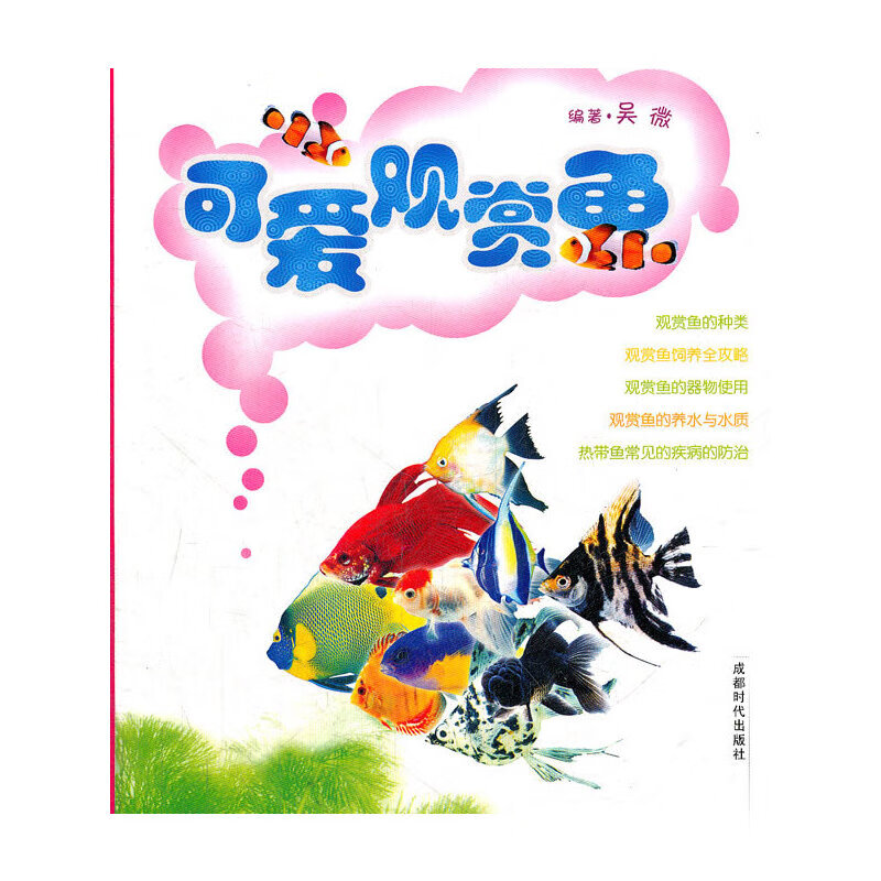 可爱观赏鱼