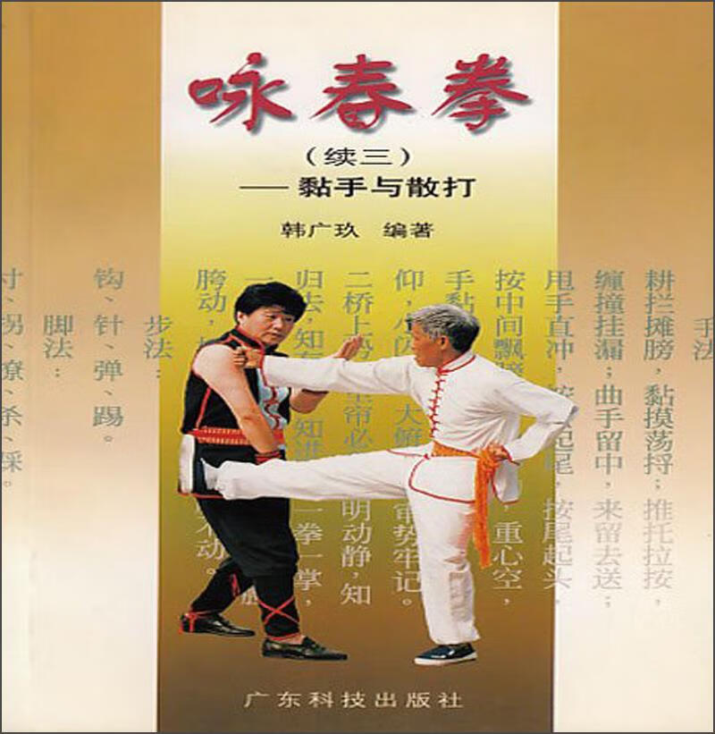 咏春拳--黏手与散打 韩广玖【书】