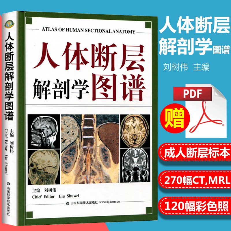 人体断层解剖学图谱 全彩色
