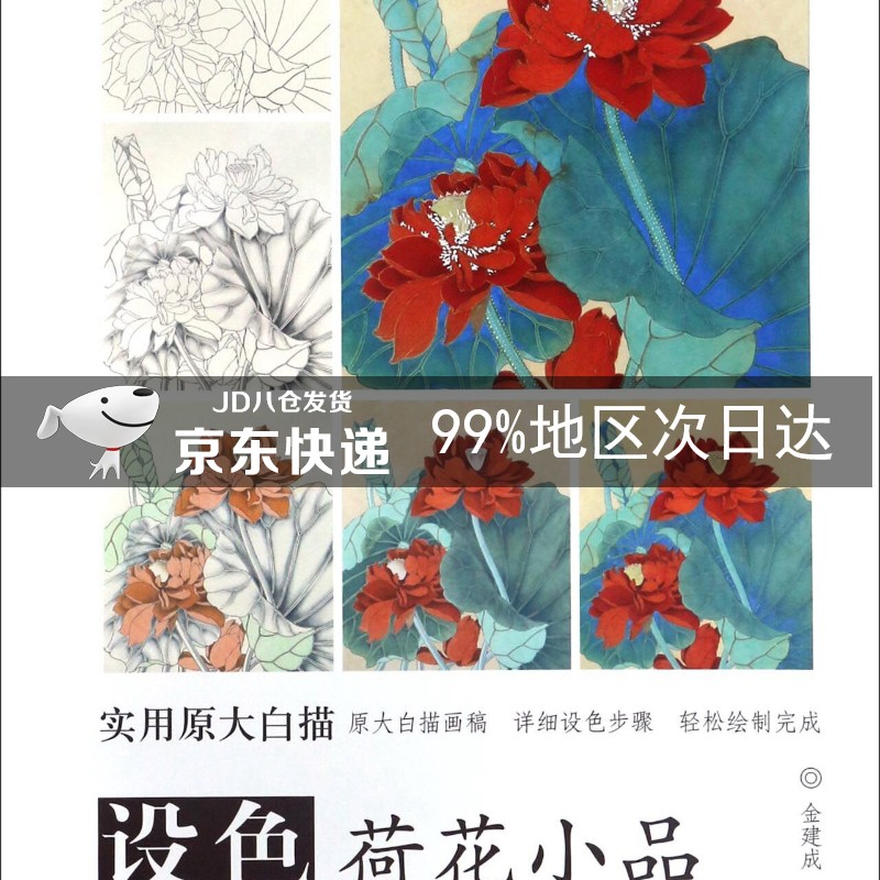 设色荷花小品/实用原大白描