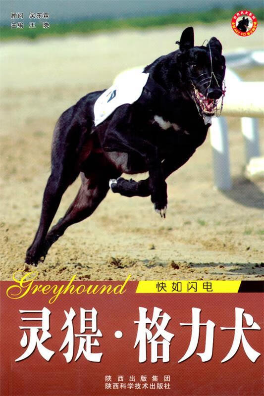 世界名犬:灵犭是·格力犬