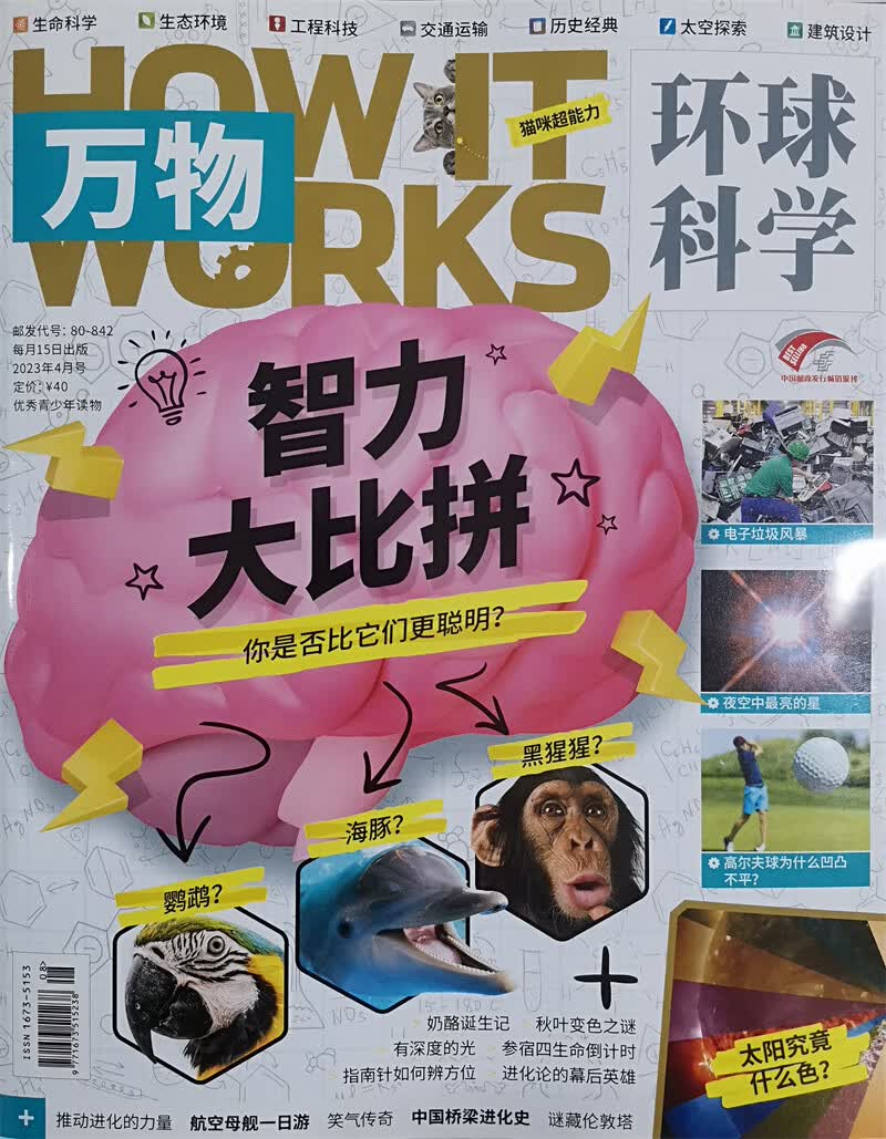 万物 2023年4月号 本期封面【智力大比拼】 中小学生科普百科 青少年课外阅读 中文版科学青少年版