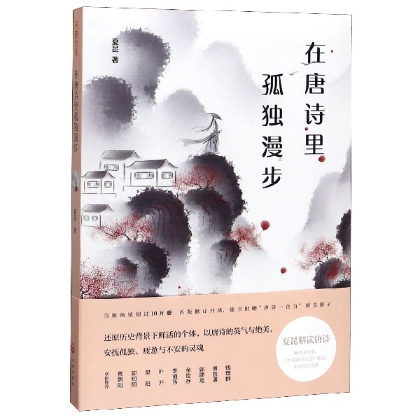 在唐诗里孤独漫步 夏昆