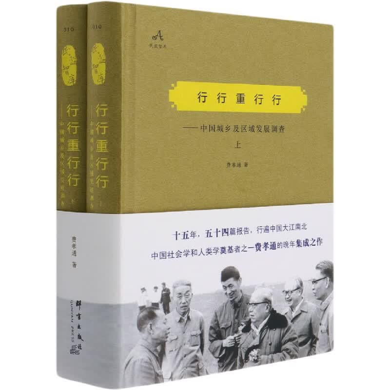 行行重行行--中国城乡及区域发展调查(上下)(精)/民盟智库
