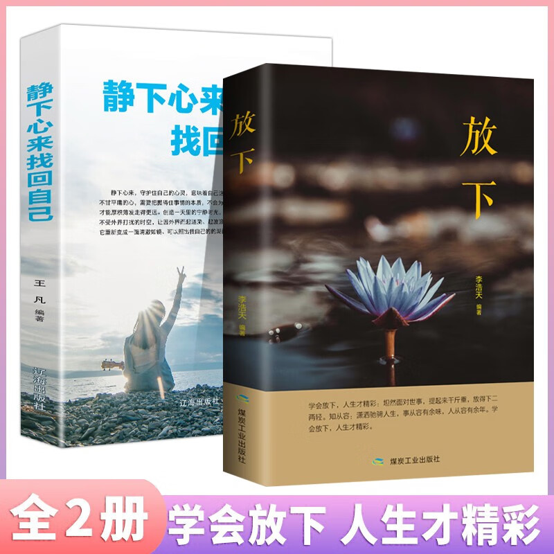 【同款2册·包邮配送】放下 樊登+静下心来找回自己 人生哲学 通俗读物 心灵鸡汤 正能量 热！2册：放下+静下心来