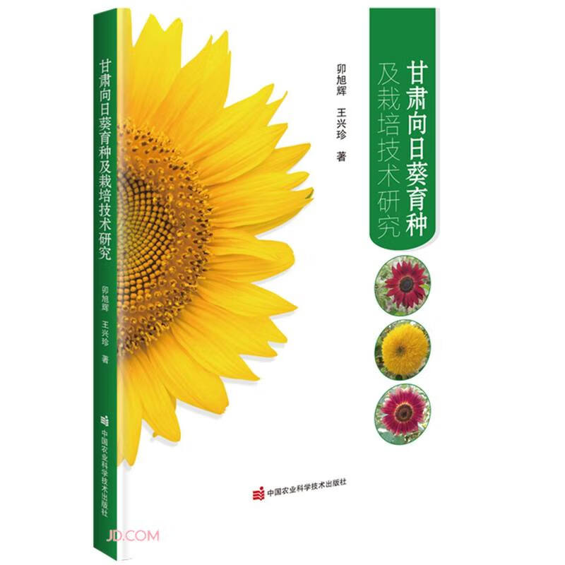甘肃向日葵育种及栽培技术研究