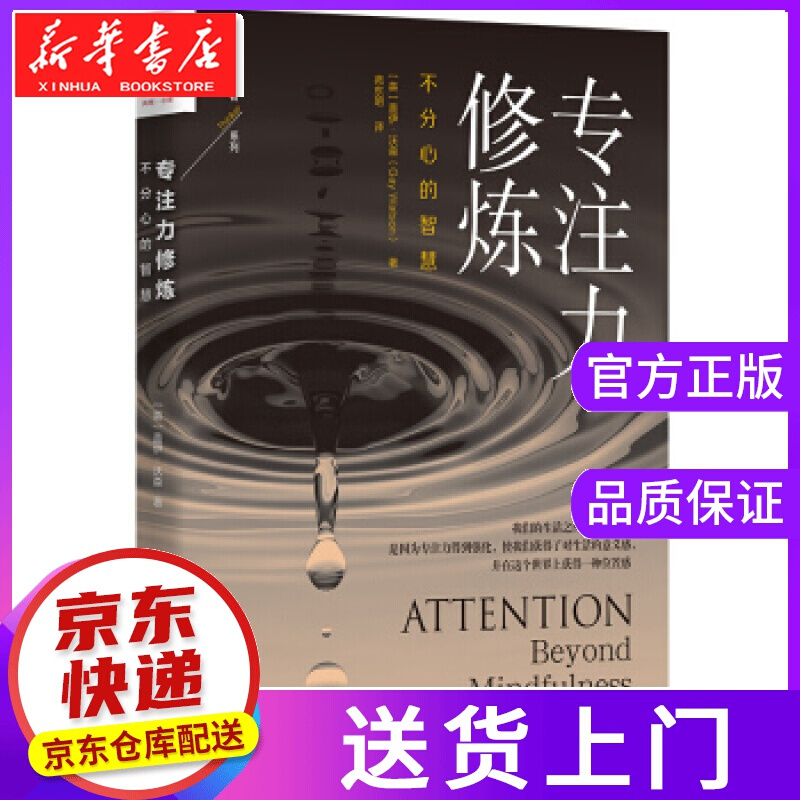 专注力修炼:不分心的智慧:beyond mindfulness [英]盖伊·沃森（Gay