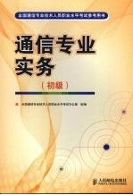 通信专业实务