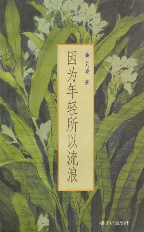因为年轻所以流浪 (美)刘墉 著
