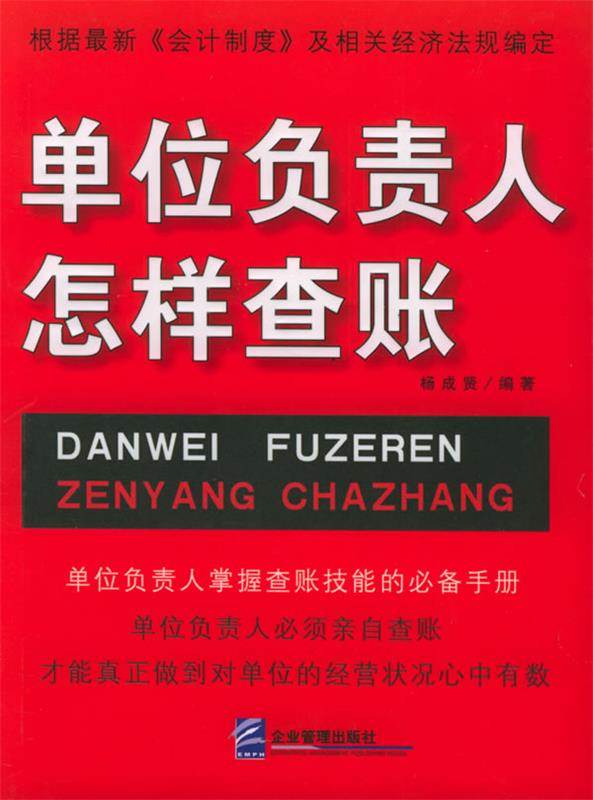 单位负责人怎样查账