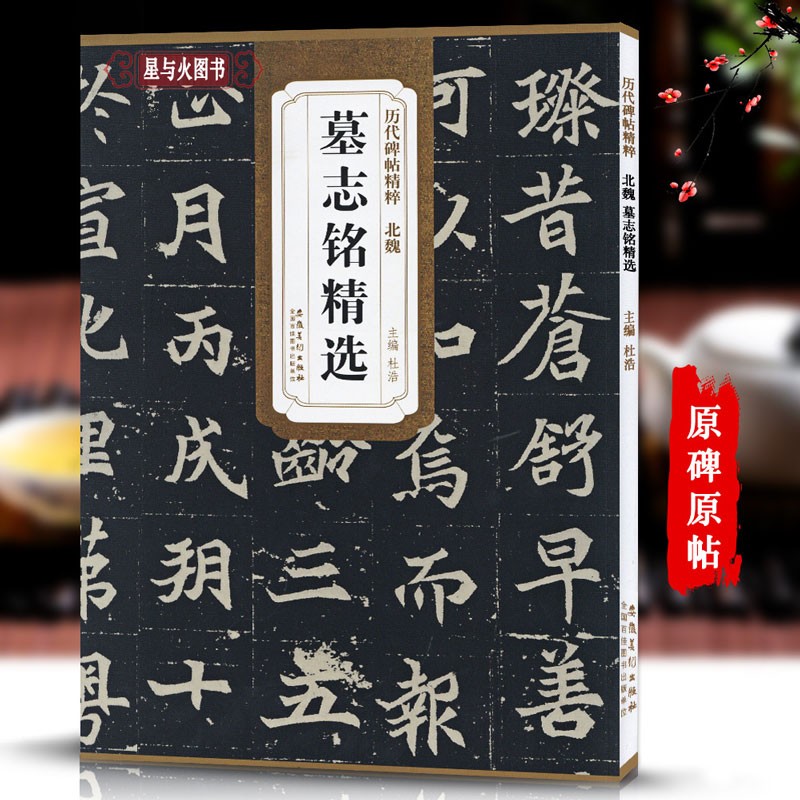 包邮！墓志铭精选 北魏 元桢 、李壁、董美人墓志铭 魏碑楷书书法毛笔字帖 附简体旁注 安徽美术出版社
