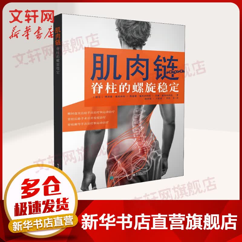 肌肉链 脊柱的螺旋稳定