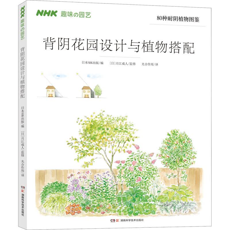 背阴花园设计与植物搭配