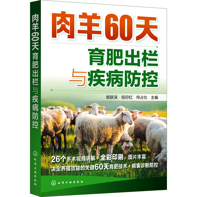 肉羊60天育肥出栏与疾病防控