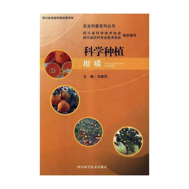 科学种植柑橘