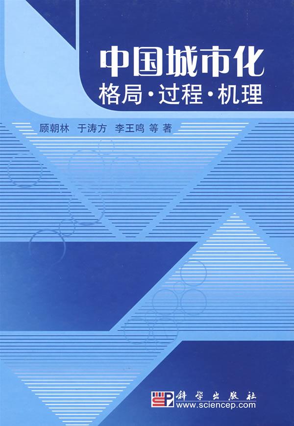 中国城市化:格局?过程?机理