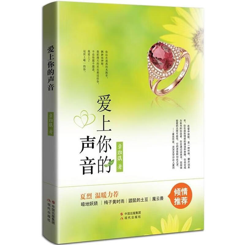 爱上你的声音 章珈琪【书】