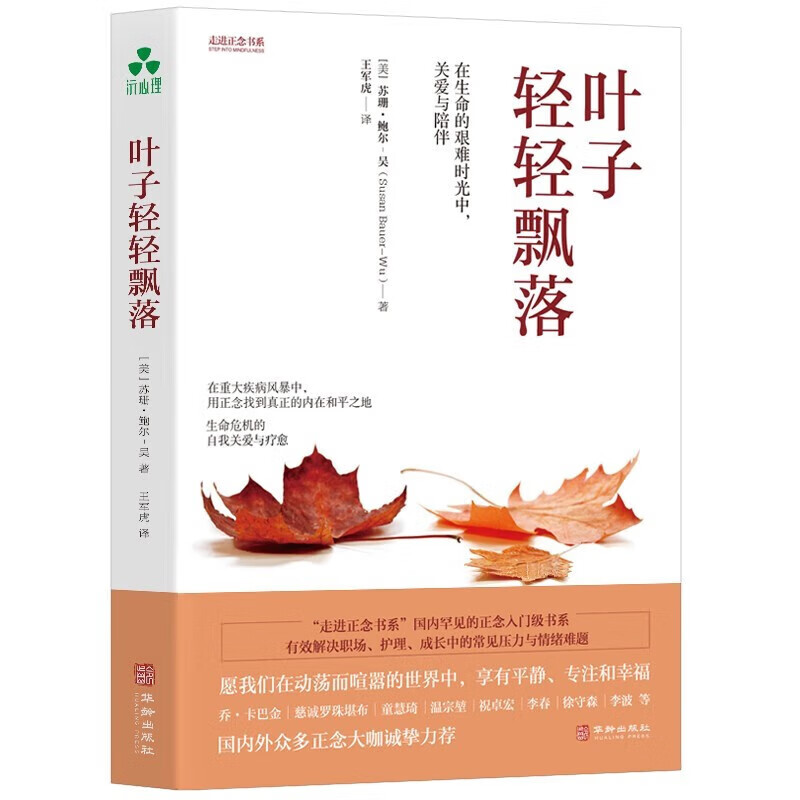 叶子轻轻飘落 重疾患者自我关爱与疗愈实操指南 正念护理心理辅导书