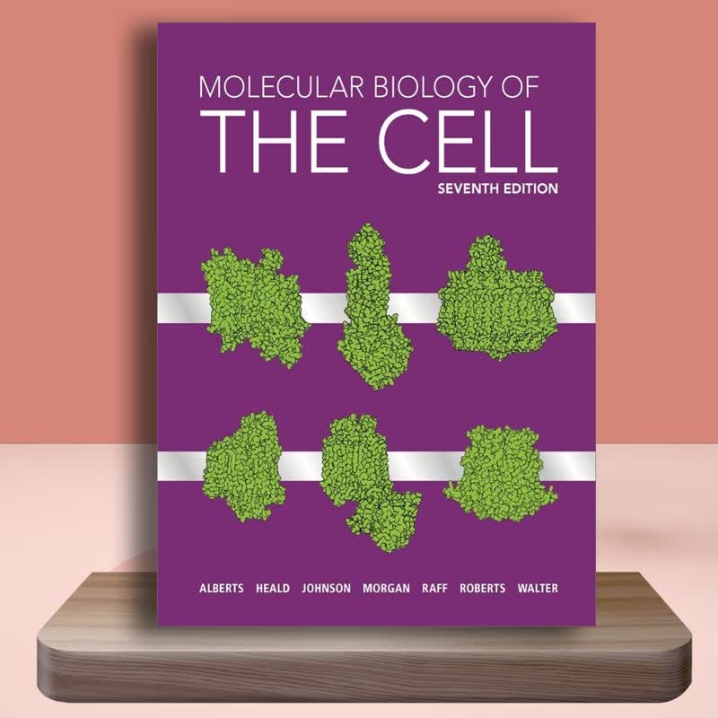 细胞分子生物学 Molecular Biology of the Cell 7th 第7版英文书 精装纸质版