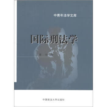 中青年法学文库:国际刑法学