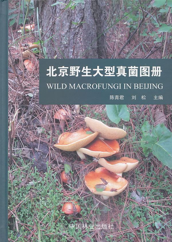 北京野生大型真菌图册