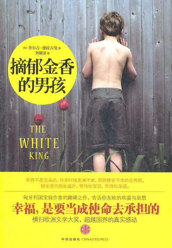 摘郁金香的男孩 (匈)德拉古曼 著,刘丽洁 译