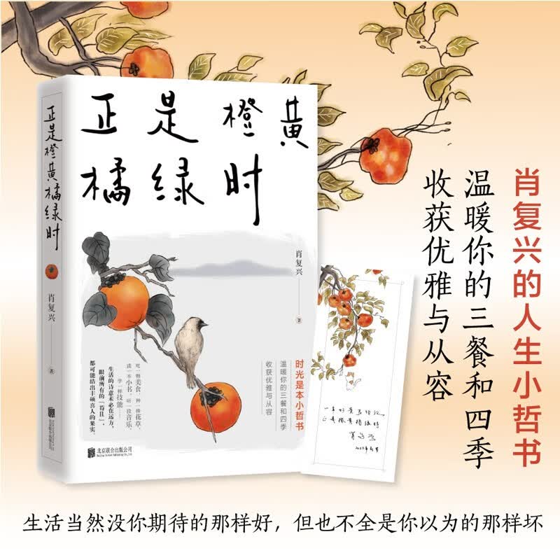 预售包邮 正是橙黄橘绿时 肖复兴 暖心新作 一份人生小哲书 温暖你的三餐和四季 收获优雅与从容 现当代文学 正是橙黄橘绿时