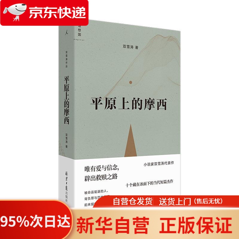 平原上的摩西 全新典藏版  双雪涛 北京日报出版社 9787547737941