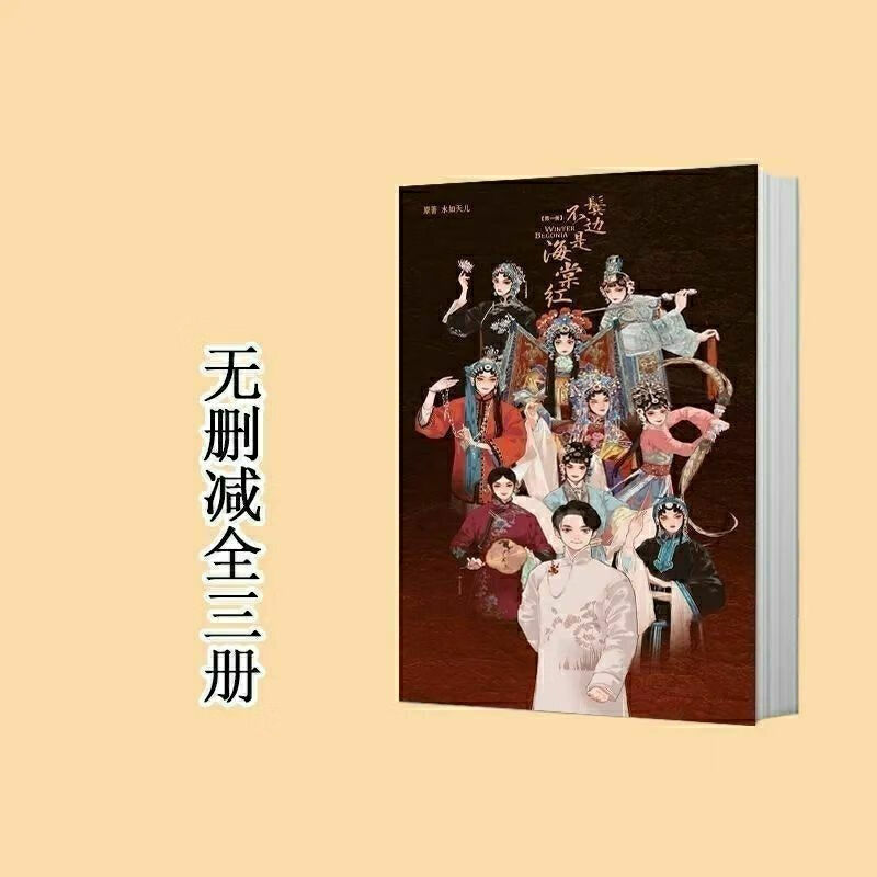鬓边不是海棠红 水如天儿 原著未删减版3册