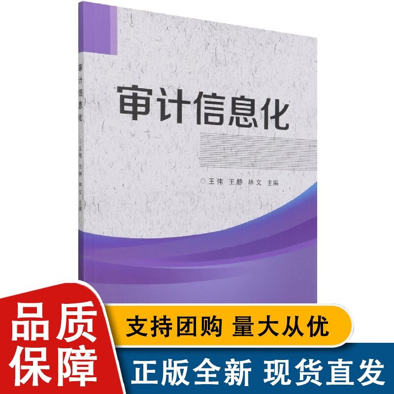 审计信息化