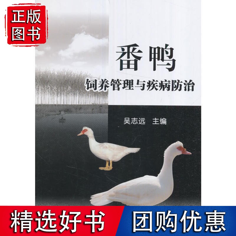 番鸭饲养管理与疾病防治