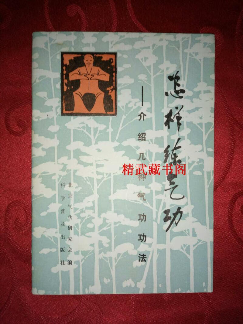 怎样练气功 武术内收净体功鹤翔桩动功等 1987年书籍旧书