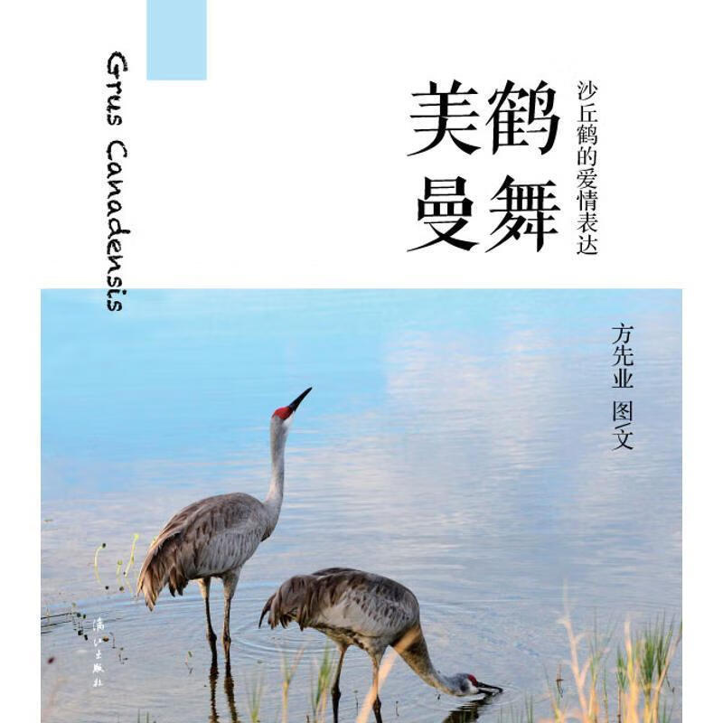美鹤曼舞 沙丘鹤的爱情表达 方先业 著