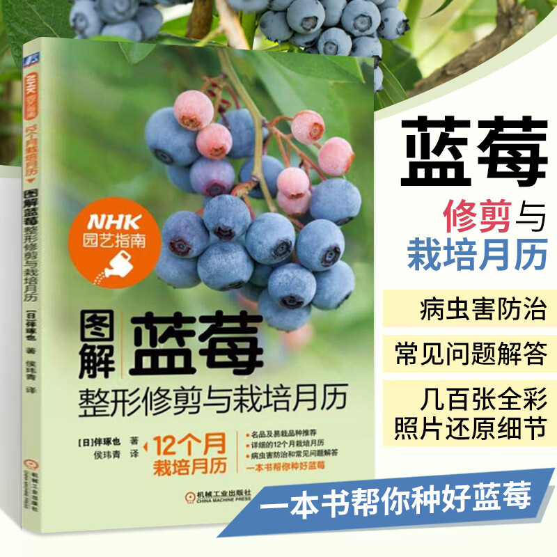 图解蓝莓整形修剪与栽培月历 NHK园艺指南 蓝莓种植整形修剪 病虫害防治图解教程 蓝莓栽培指南 蓝莓植株修剪法技巧 蓝莓种植书