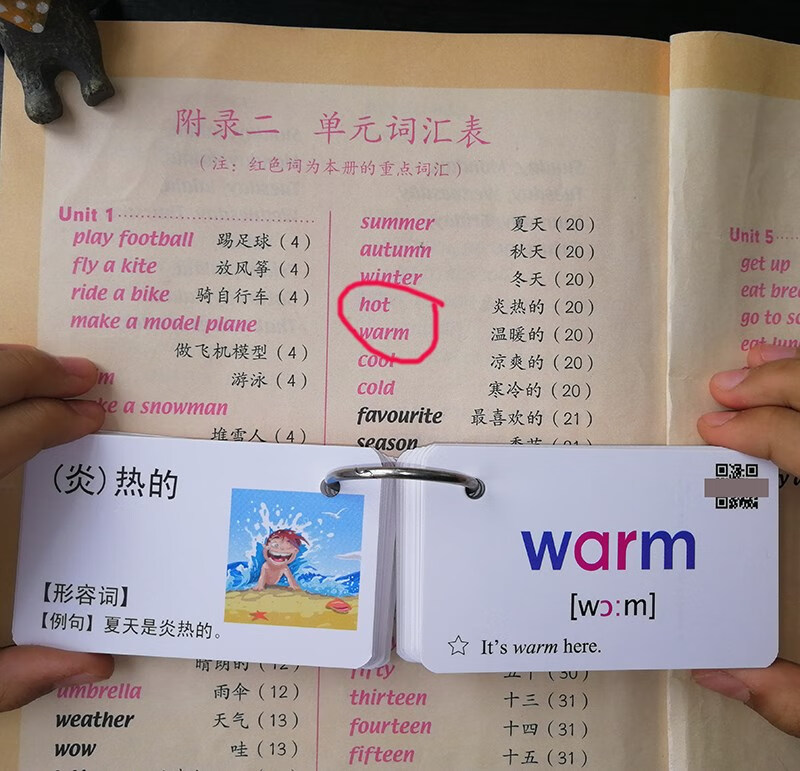 2021年人教版一年级起点 新起点(SL)小学英语 单词卡片双色音标 二年级上册(54张一本)