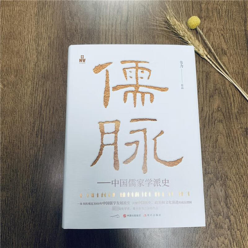 儒脉——中国儒家学派史 图书
