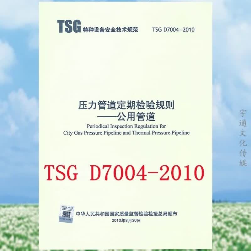 TSG D7004-2010 压力管道定期检验规则 公用管道
